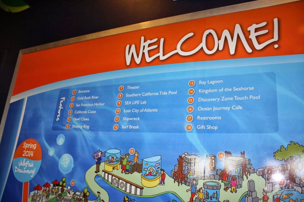 Things to see at Sea Life Aquarium in Legoland - Any Tots