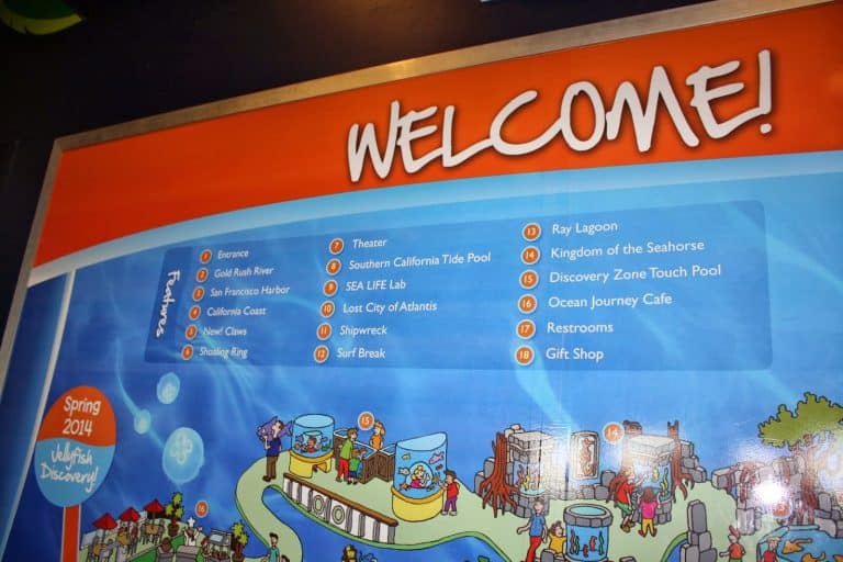 Things to see at Sea Life Aquarium in Legoland - Any Tots
