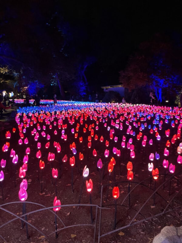 List of US Holiday Events 2025 + Discount Tickets - Any Tots